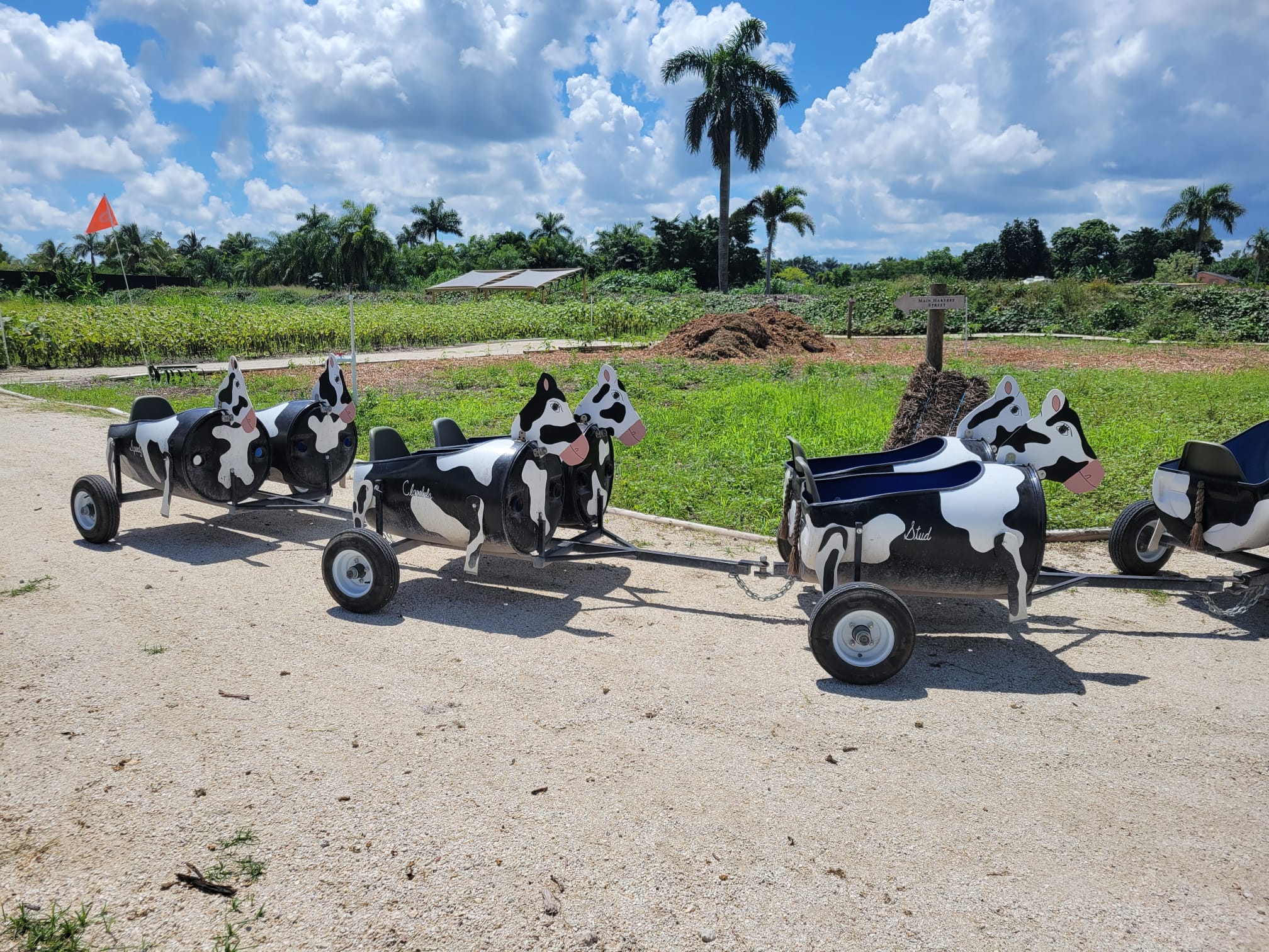 Experience - Cow Barrel Train Ride | Tinez Farms